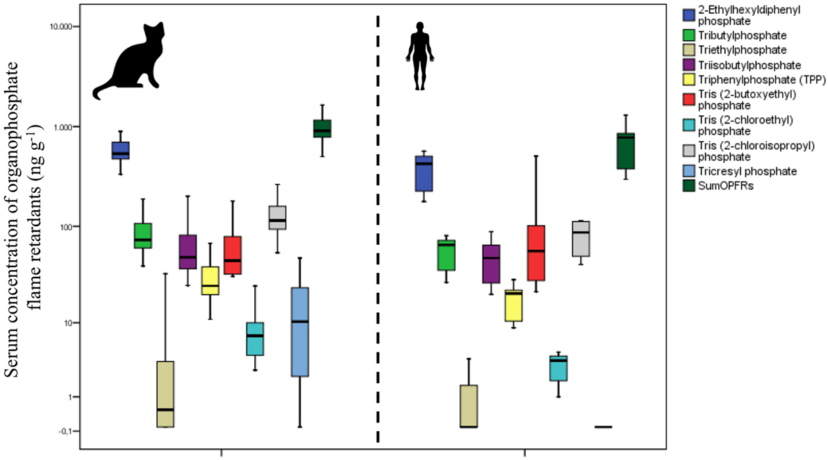 Frontiers | Potential Role of Pet Cats As a Sentinel Species for Human ...