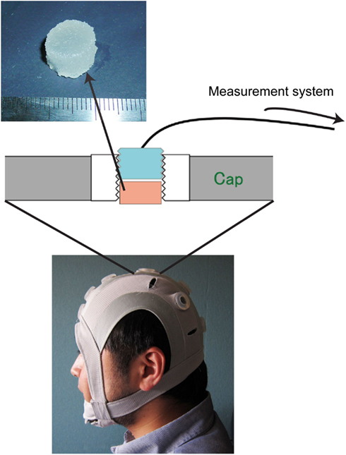 Frontiers | A Non-Adhesive Solid-Gel Electrode for a Non-Invasive Brain ...
