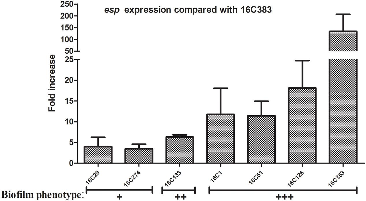 Frontiers | Characteristics of and Virulence Factors Associated with ...