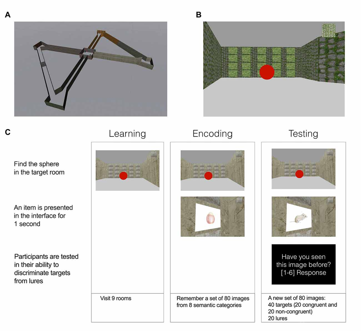 Frontiers | A Spatial-Context Effect in Recognition Memory