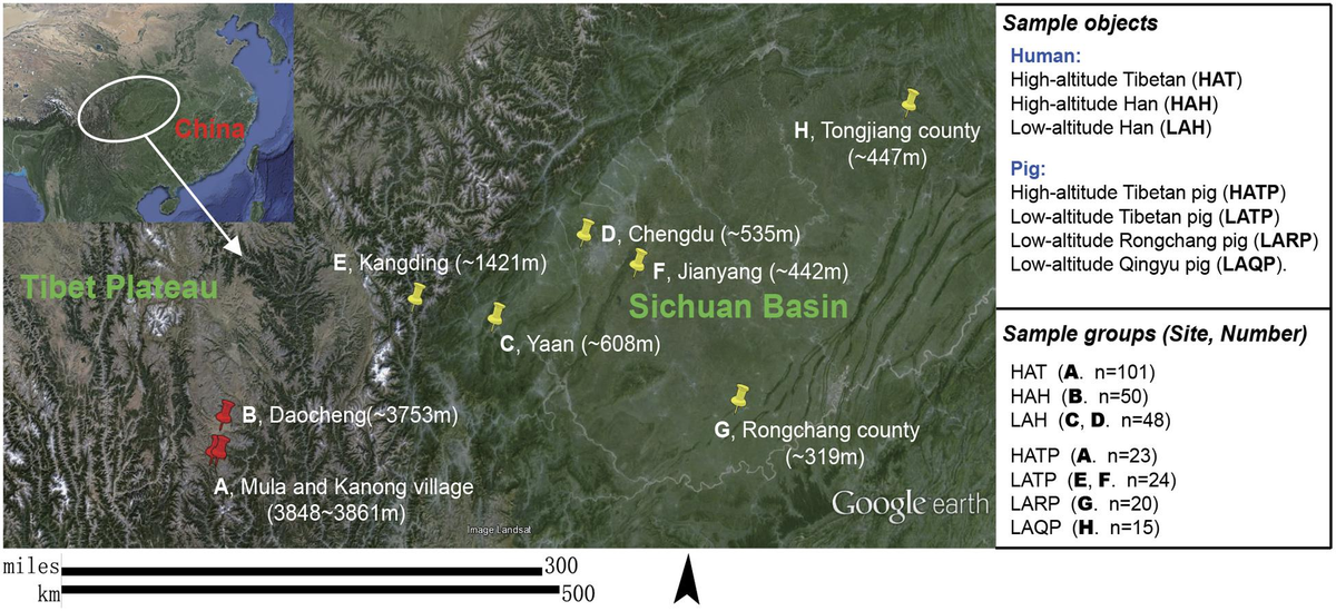 Frontiers | High-Altitude Living Shapes the Skin Microbiome in Humans ...