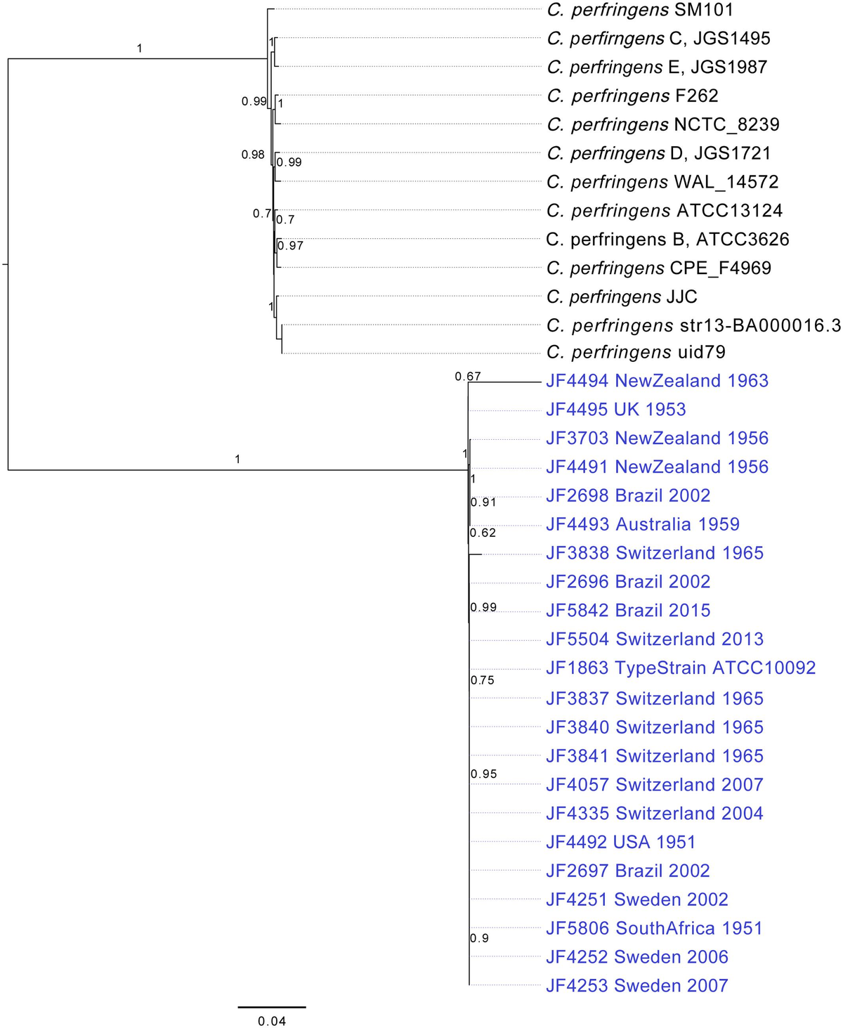 Frontiers | Clostridium chauvoei, an Evolutionary Dead-End Pathogen