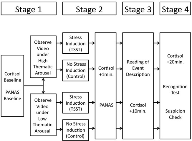 Frontiers | The stressed eyewitness: the interaction of thematic ...