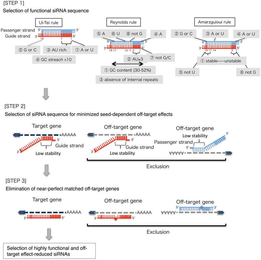 Frontiers | siRNA Design Software for a Target Gene-Specific RNA ...