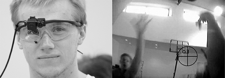 Frontiers | Eye-Tracking Technology and the Dynamics of Natural Gaze ...