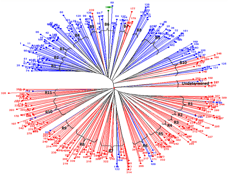 Frontiers | Towards Defining Heterotic Gene Pools in Pearl Millet ...