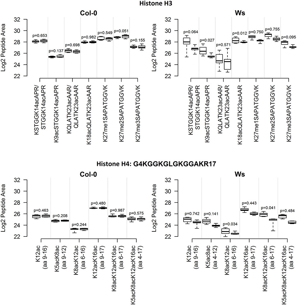 Frontiers | Variations of Histone Modification Patterns: Contributions ...