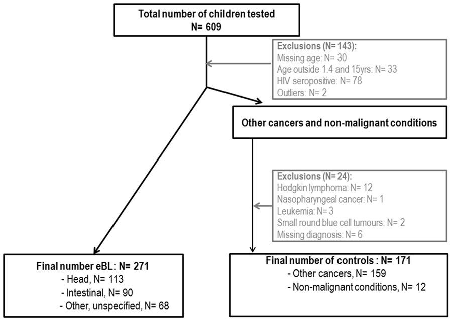 Frontiers | Assessment of the Combined Effect of Epstein–Barr Virus and Plasmodium falciparum ...