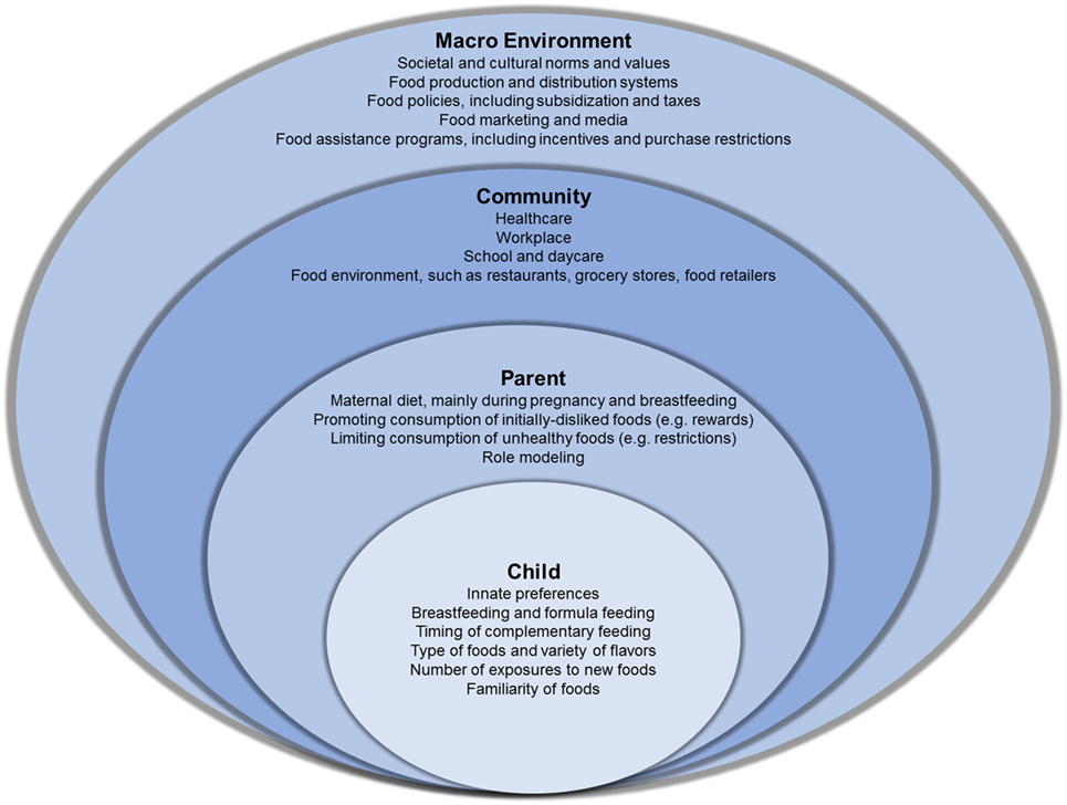 Frontiers | The Development and Public Health Implications of Food ...