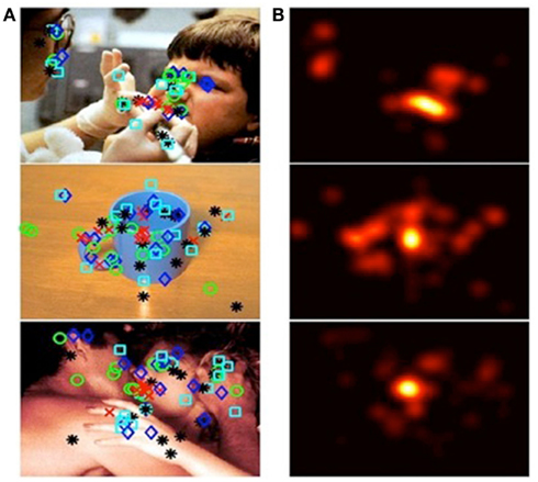 Frontiers | Affective salience can reverse the effects of stimulus ...