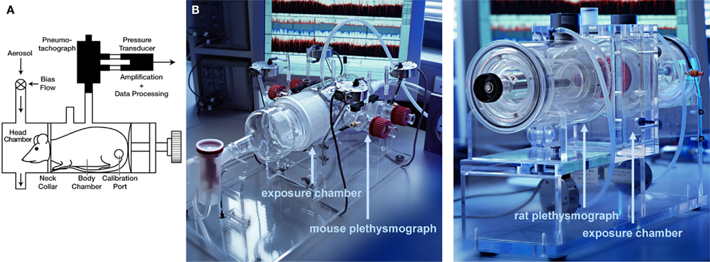Frontiers | Lung function measurements in rodents in safety ...