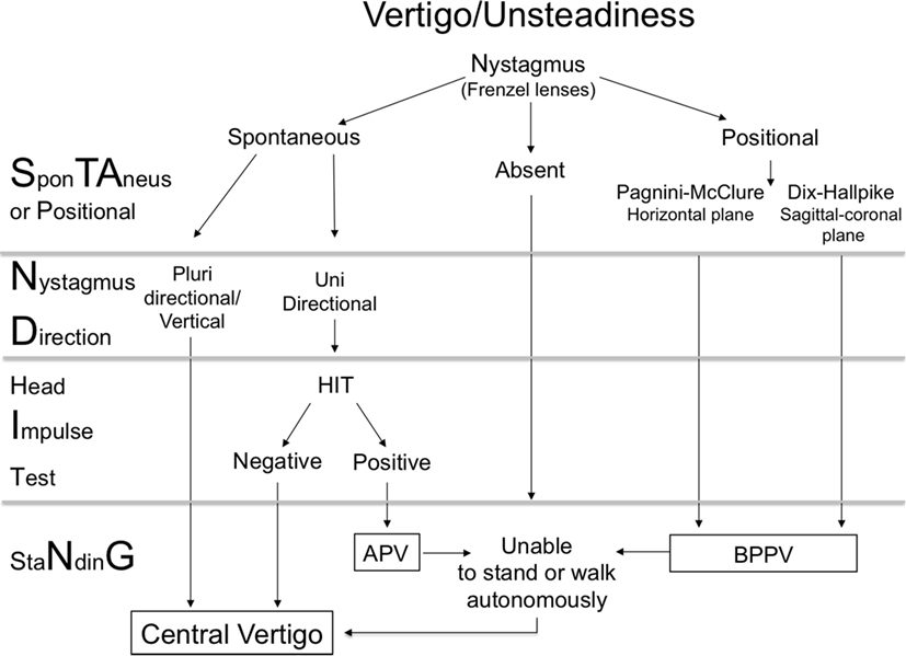 Frontiers | Differential Diagnosis of Vertigo in the Emergency ...