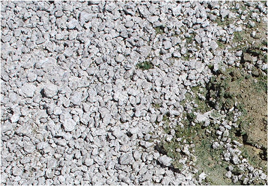 Frontiers | Hypolithic Photosynthesis in Hydrothermal Areas and ...