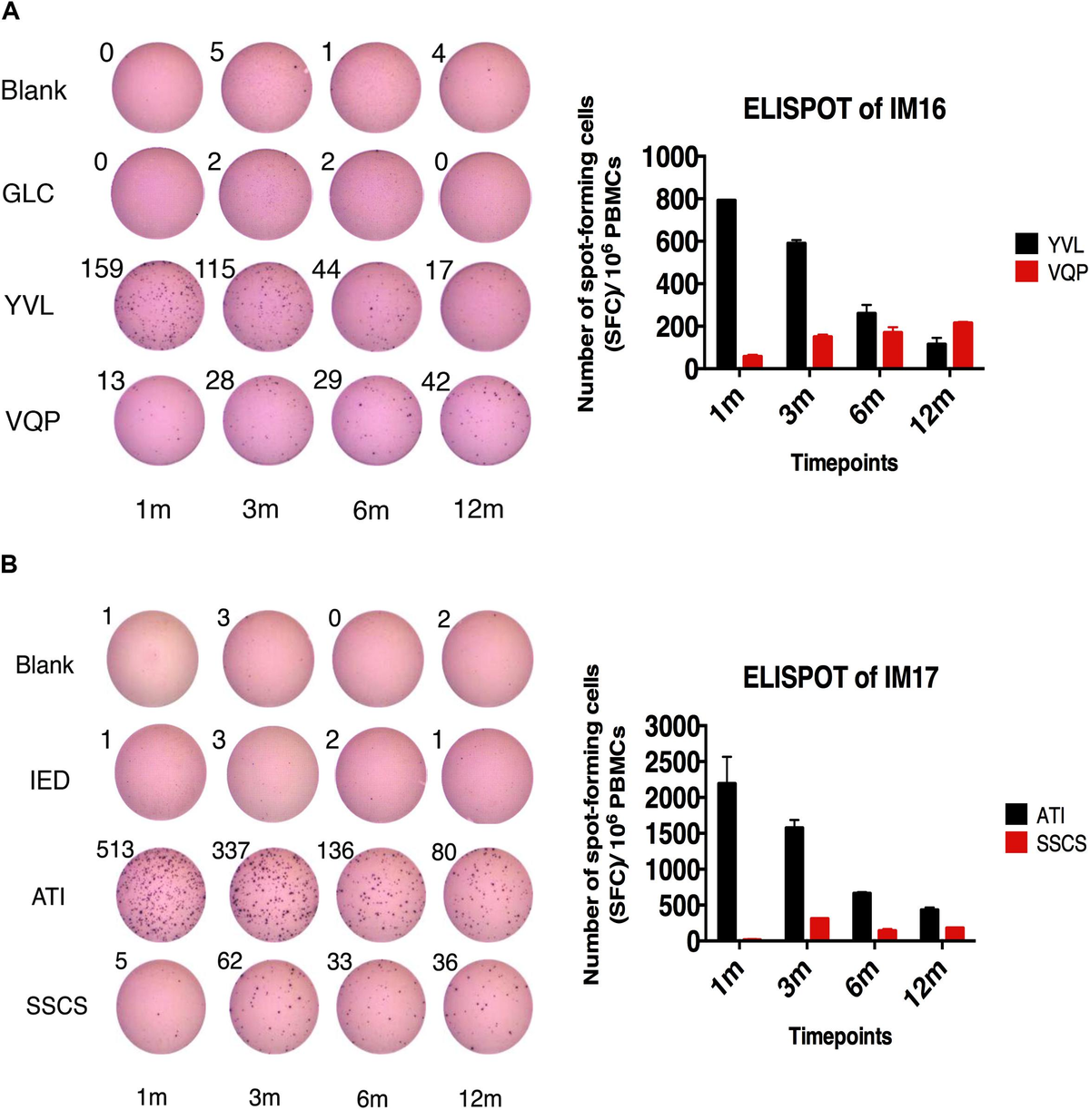 Frontiers Emergence Of Cd4 And Cd8 Polyfunctional T Cell Responses