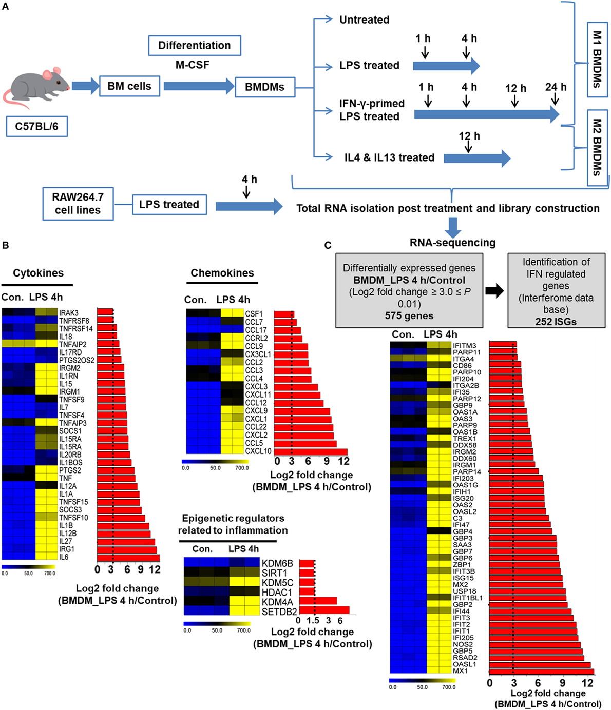Frontiers | High-Resolution Mapping and Dynamics of the Transcriptome ...