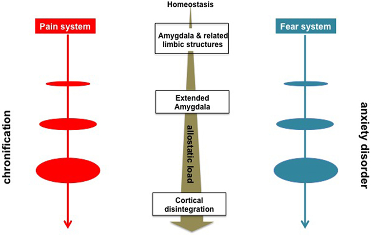 Frontiers | Threat Response System: Parallel Brain Processes in Pain ...