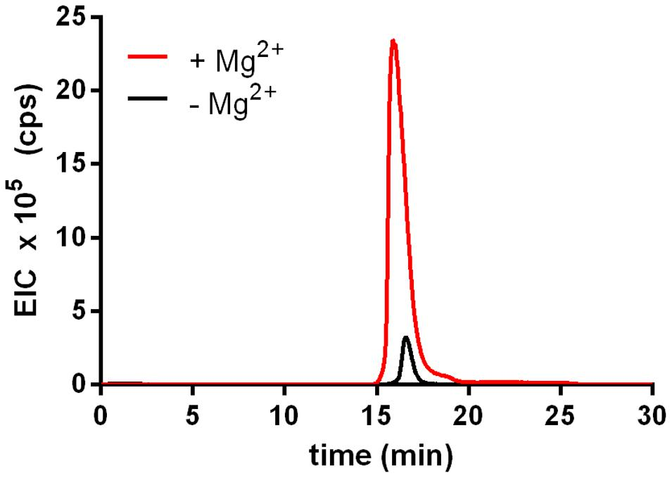 Frontiers | N-Acetylmuramic Acid (MurNAc) Auxotrophy of the Oral ...