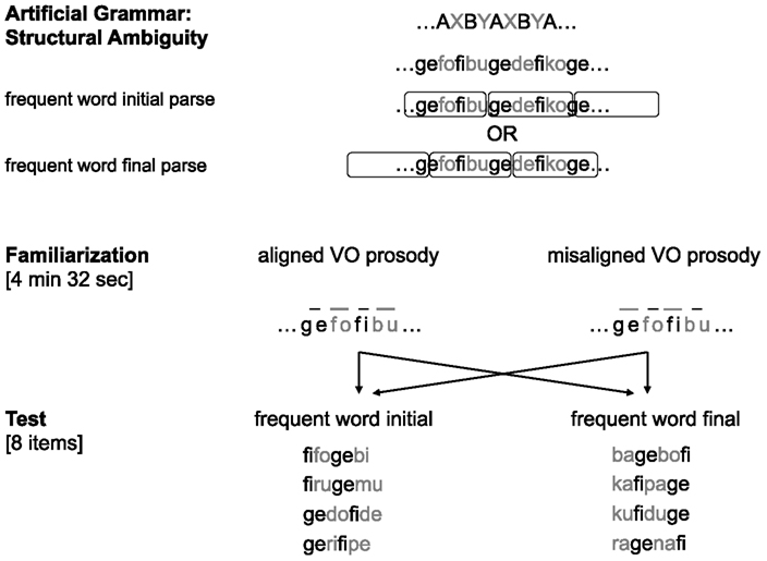 Frontiers | Prosodic Cues to Word Order: What Level of Representation?