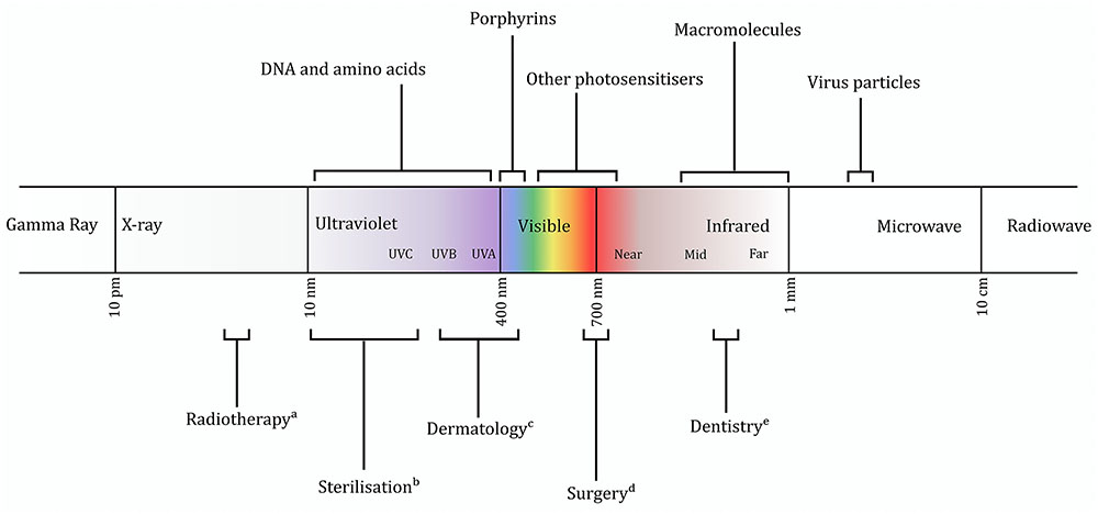Frontiers | Light as a Broad-Spectrum Antimicrobial