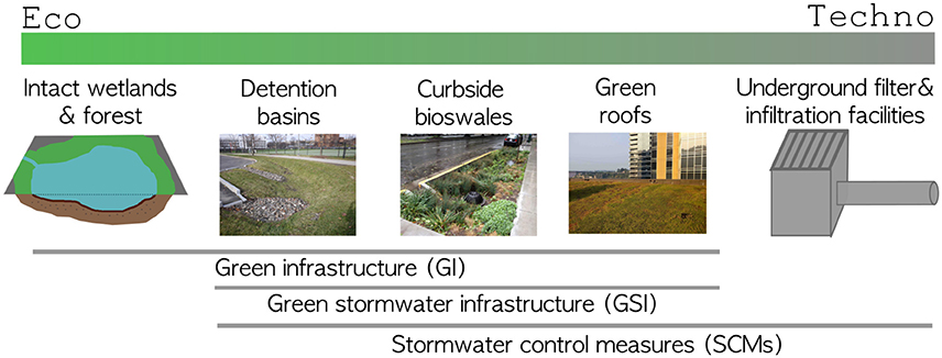 Frontiers | Temporal Evolution of Green Stormwater Infrastructure ...