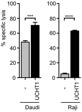 Frontiers | Anti-CD3 Fab Fragments Enhance Tumor Killing by Human γδ T ...