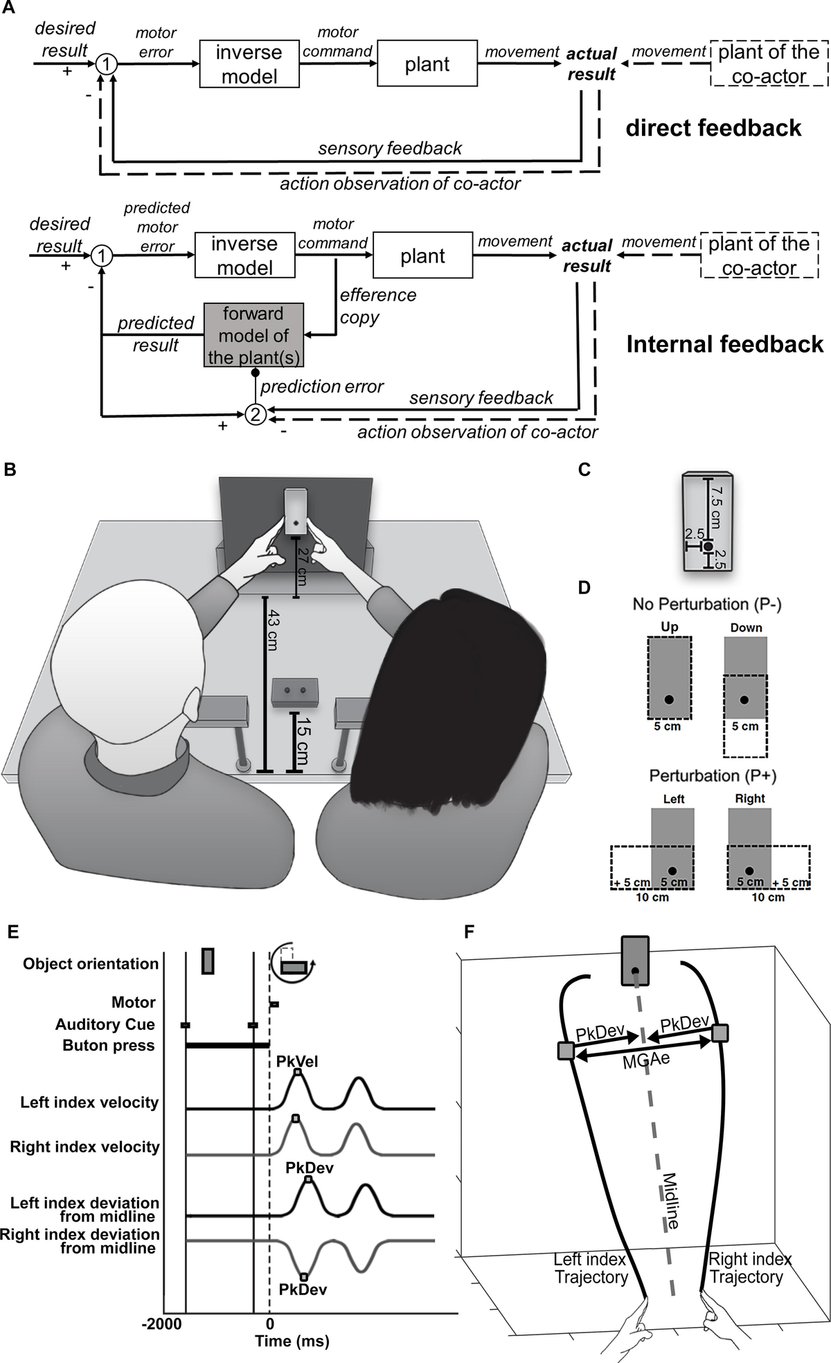 Frontiers | Emergent Synergistic Grasp-Like Behavior in a Visuomotor ...
