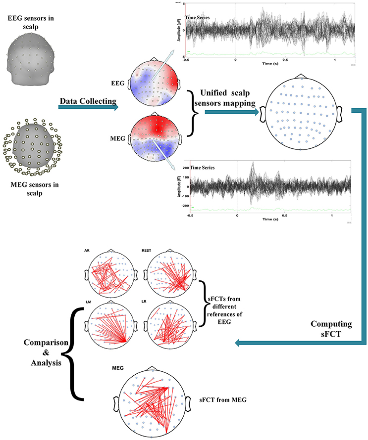 Frontiers | Sensor Level Functional Connectivity Topography Comparison ...