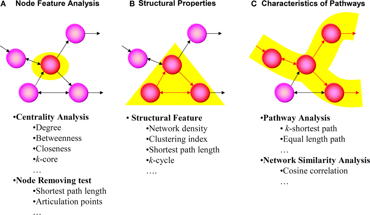 Frontiers | Network features and pathway analyses of a signal ...