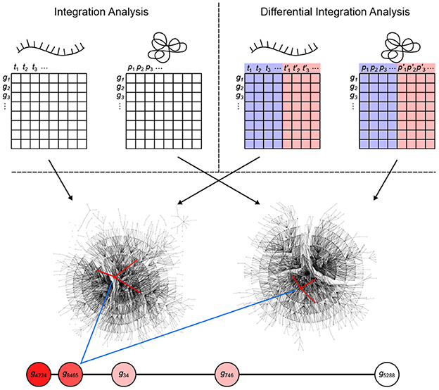Frontiers | Differential Integration of Transcriptome and Proteome ...