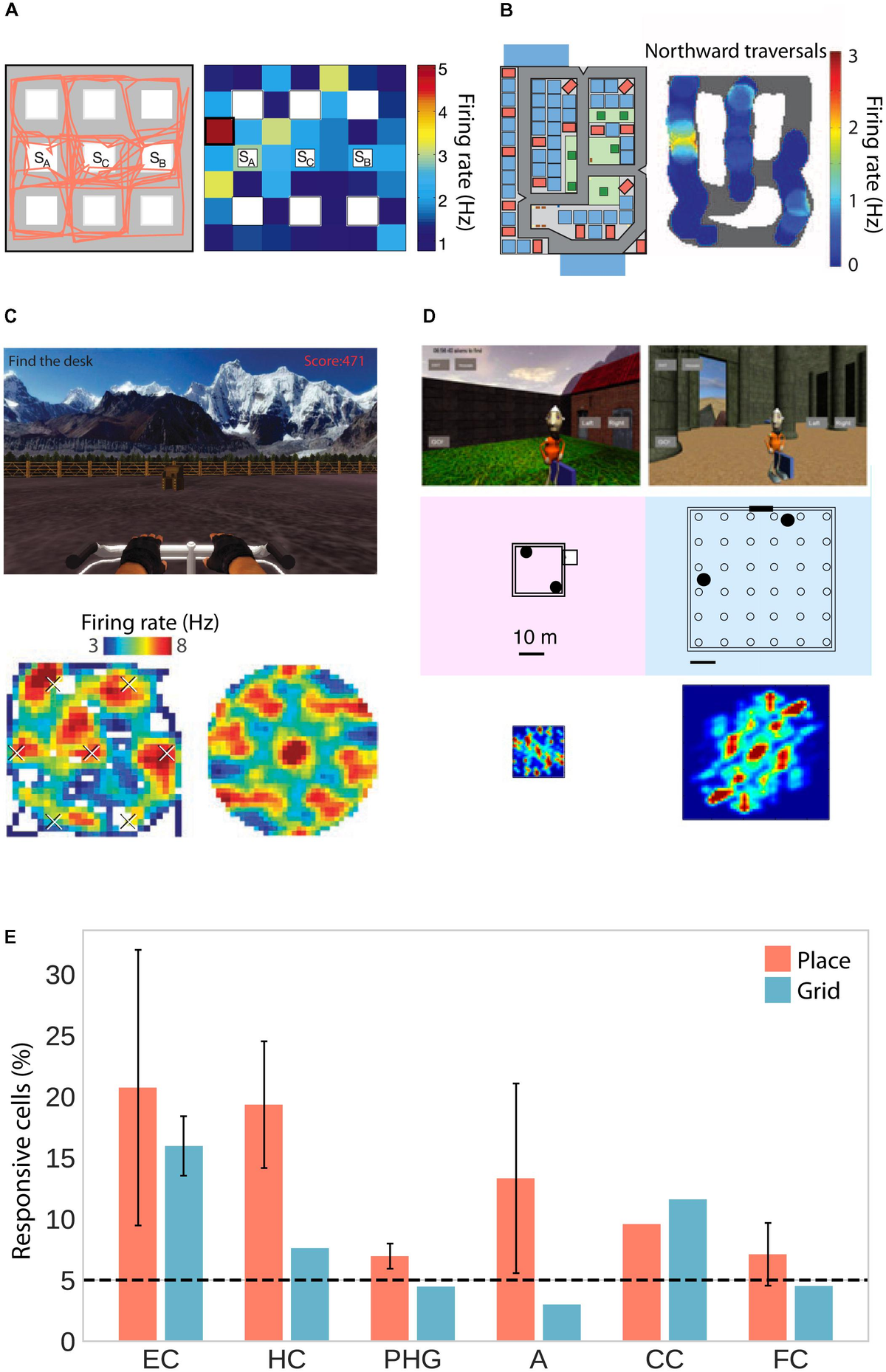 Frontiers | Spatial Representations in the Human Brain