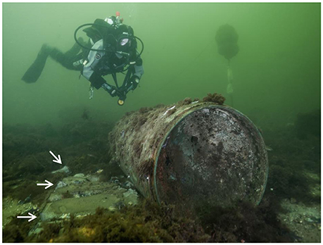 Frontiers | Spread, Behavior, and Ecosystem Consequences of ...