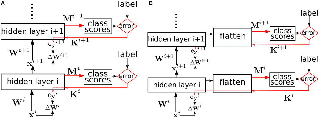 Frontiers | Deep Supervised Learning Using Local Errors