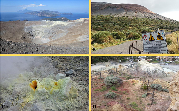 Frontiers | Surviving Volcanic Environments—Interaction of Soil Mineral ...