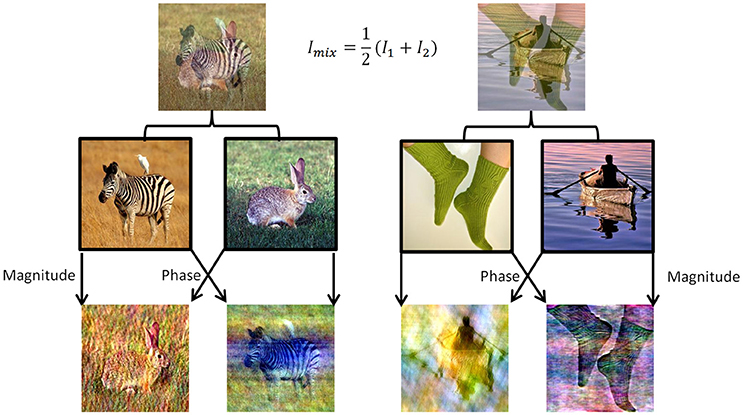 Frontiers | Perceptual Dominance in Brief Presentations of Mixed Images ...