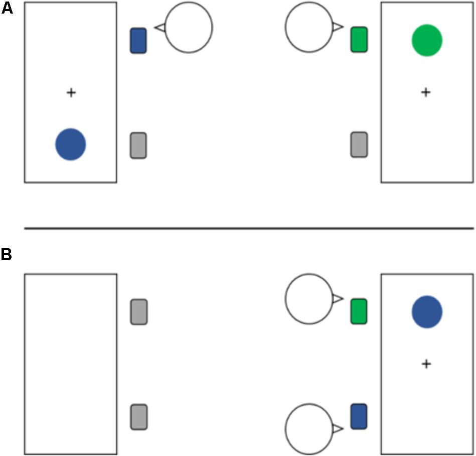 Frontiers | Are You Keeping an Eye on Me? The Influence of Competition ...
