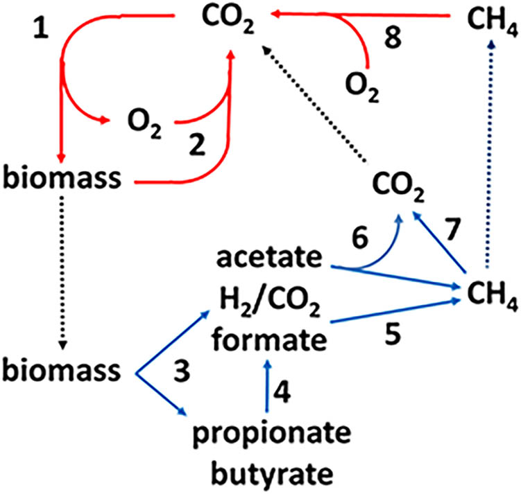 Frontiers | Electron Bifurcation and Confurcation in Methanogenesis and ...