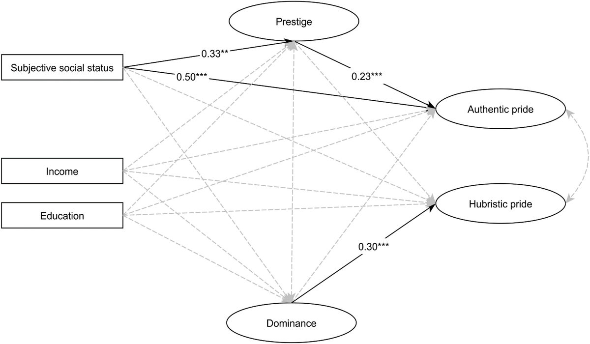 Frontiers | Pride and Social Status