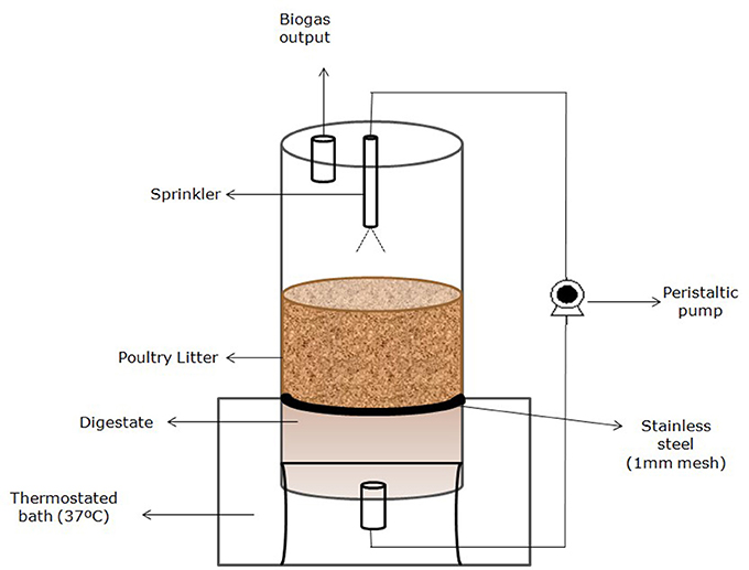 Frontiers | Poultry Litter Solid State Anaerobic Digestion: Effect of ...