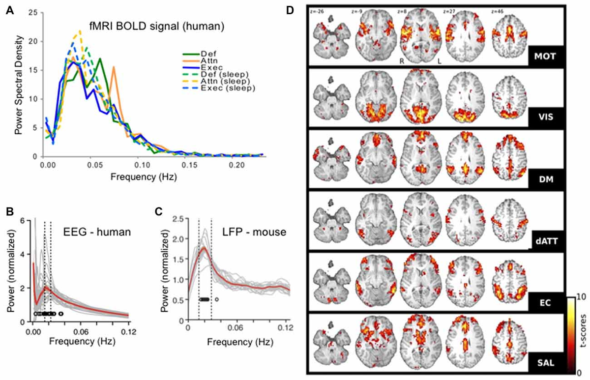 Frontiers | Cognitive and Physiologic Impacts of the Infraslow Oscillation