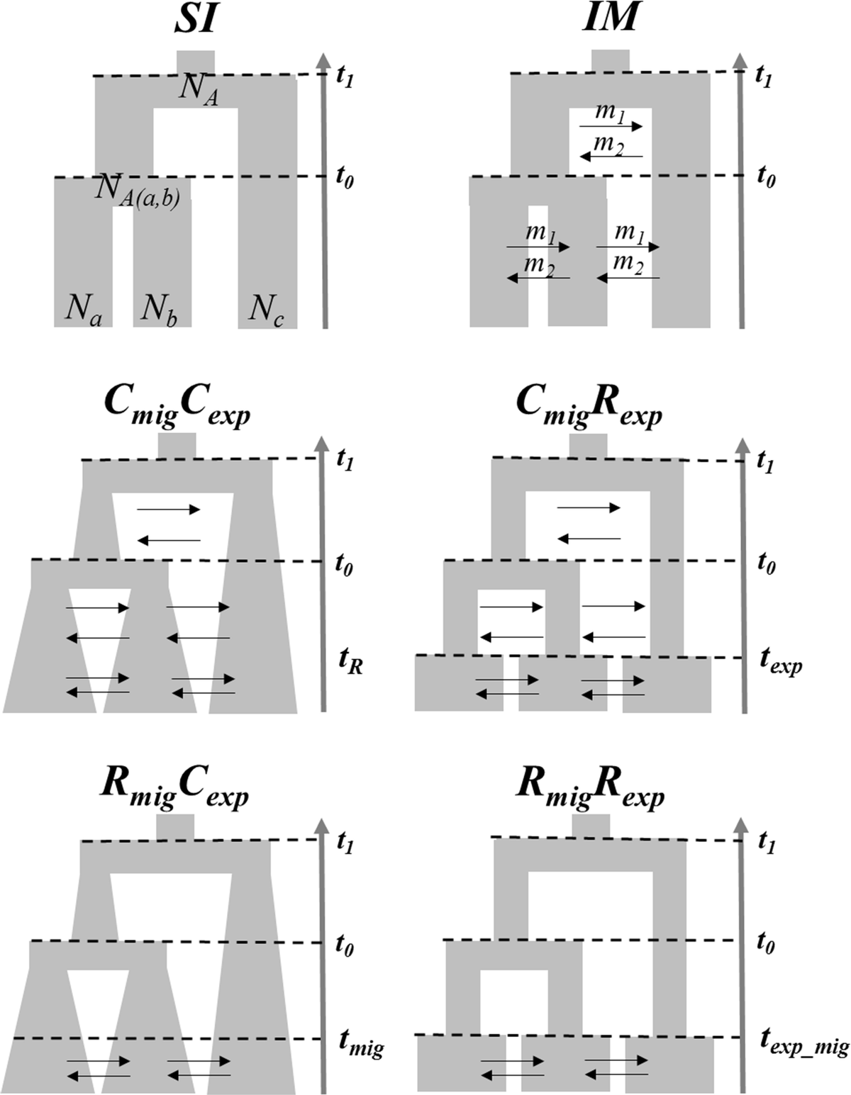 Frontiers | Evidence for Introgression Among Three Species of the ...