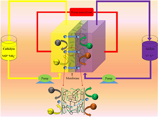 Frontiers | SPEEK Membrane of Ultrahigh Stability Enhanced by ...