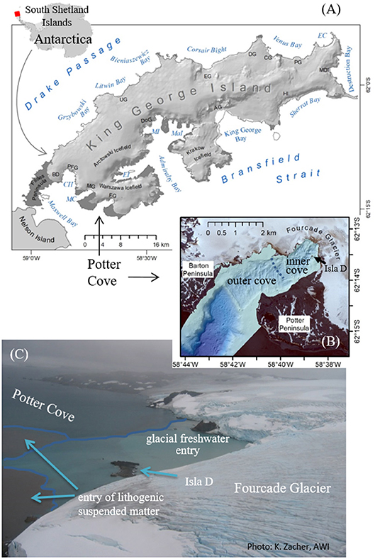 Frontiers | Ensemble Modeling of Antarctic Macroalgal Habitats Exposed ...