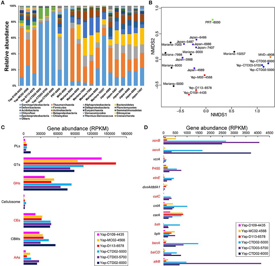 Frontiers | Metagenomics Reveals Microbial Diversity and Metabolic ...