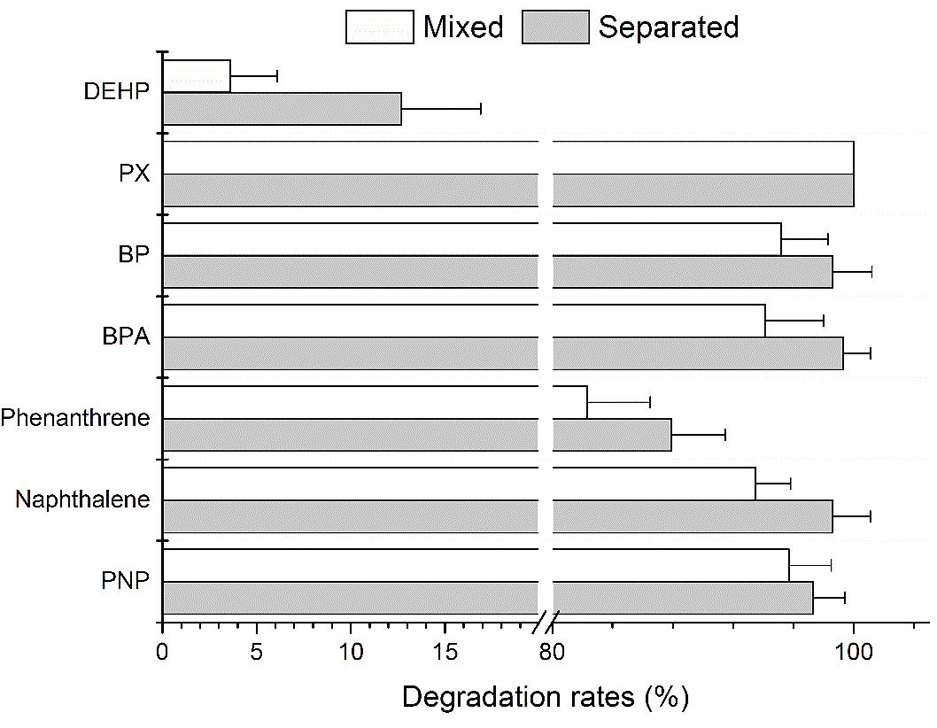 Frontiers | Insight Into Metabolic Versatility of an Aromatic Compounds ...