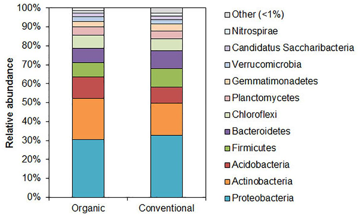 Frontiers | Microbial Diversity and Antimicrobial Resistance Profile in ...