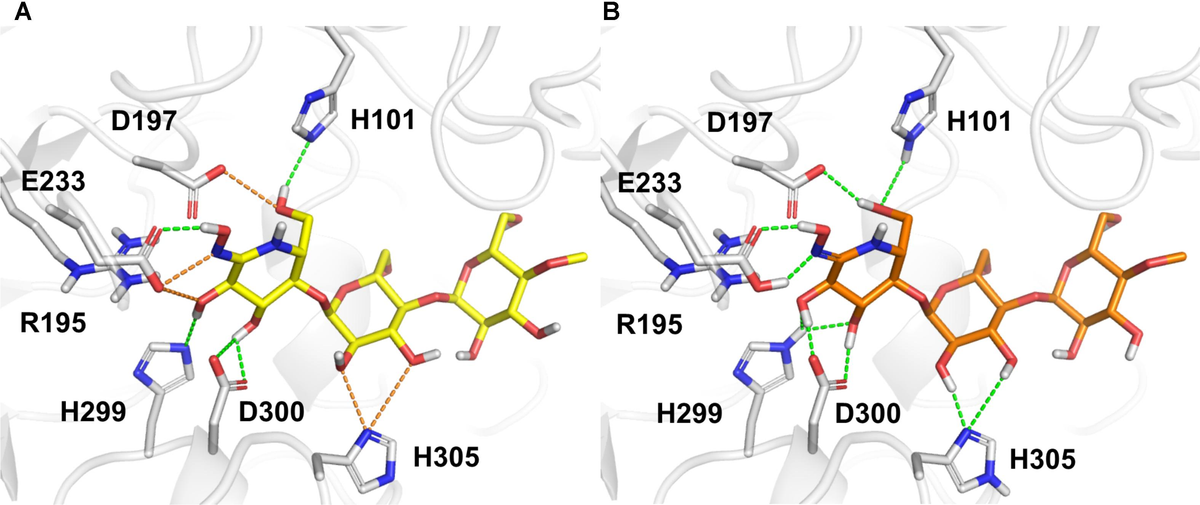 Frontiers | Empirical Scoring Functions for Structure-Based Virtual ...
