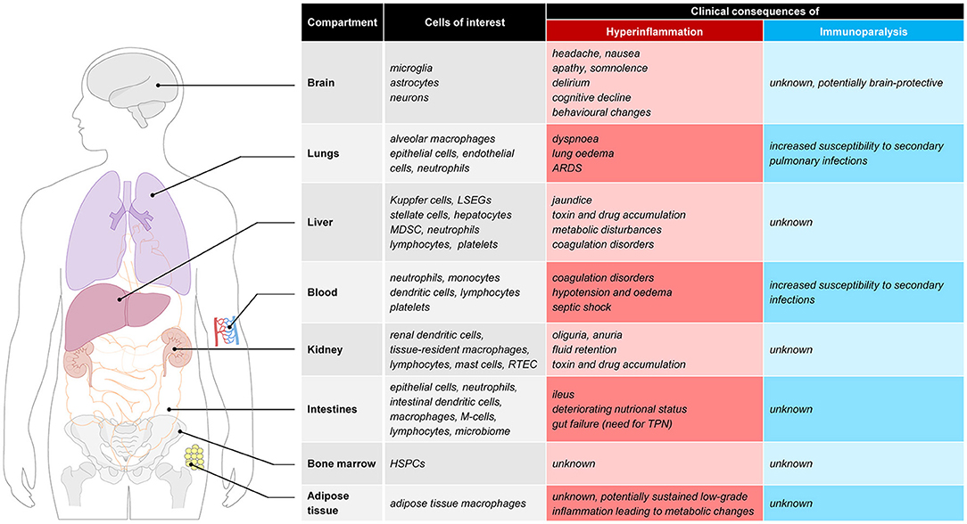 Frontiers | Precision Immunotherapy for Sepsis