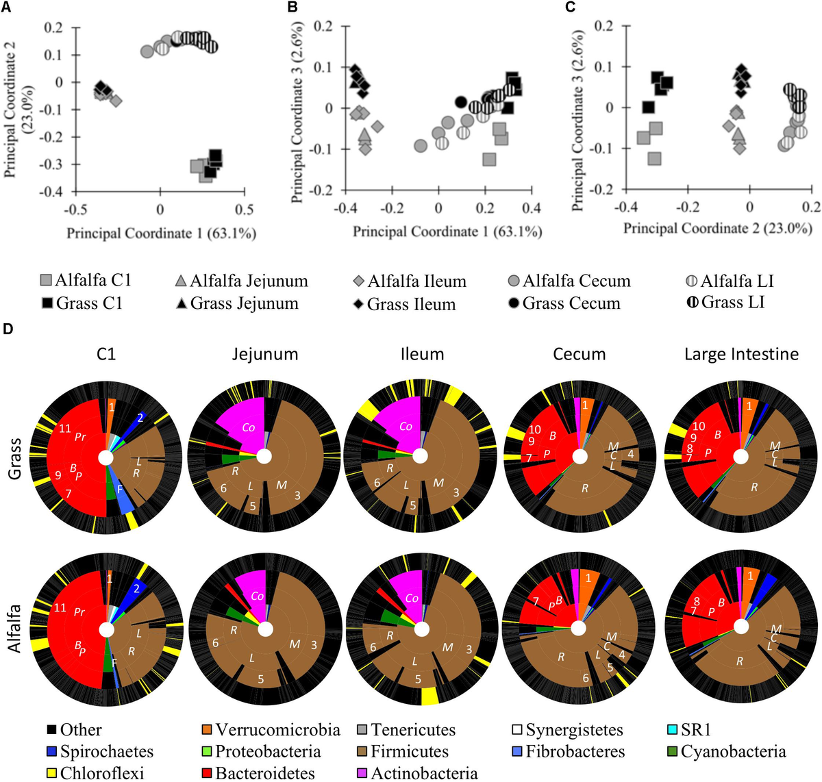 Frontiers | Bacterial Communities in the Alpaca Gastrointestinal Tract ...