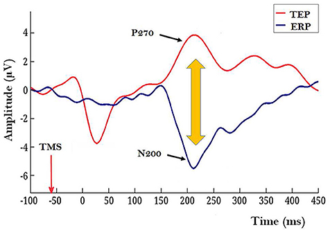 Frontiers | On a Strategy of Advancement of TMS Based Methods for ...