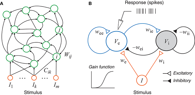 Frontiers | Adaptive Stimulus Design for Dynamic Recurrent Neural ...